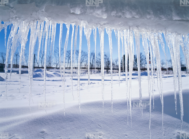 ツララ / ≪写真素材・ストックフォト≫ NNP PHOTO LIBRARY