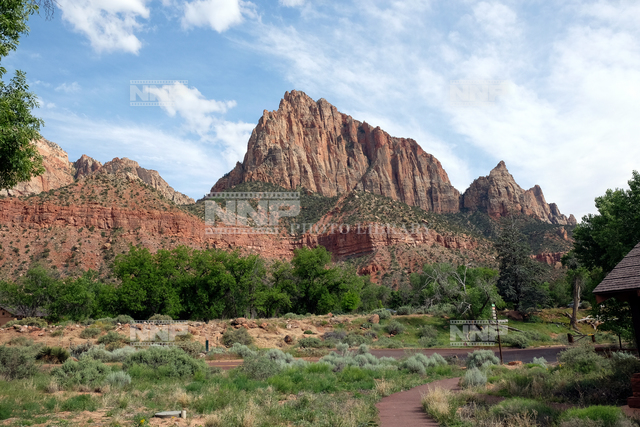 ザイオン国立公園 / ≪写真素材・ストックフォト≫ NNP PHOTO LIBRARY