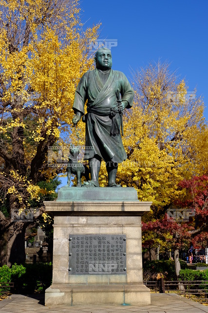 西郷隆盛銅像 ≪写真素材・ストックフォト≫ Nnp Photo Library