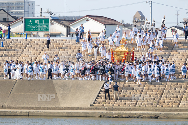 住吉祭の神輿渡御 大和川川渡り / ≪写真素材・ストックフォト≫ NNP PHOTO LIBRARY