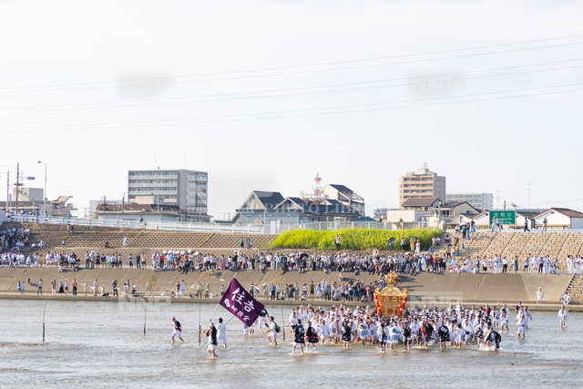 住吉祭の神輿渡御 大和川川渡り / ≪写真素材・ストックフォト≫ NNP PHOTO LIBRARY
